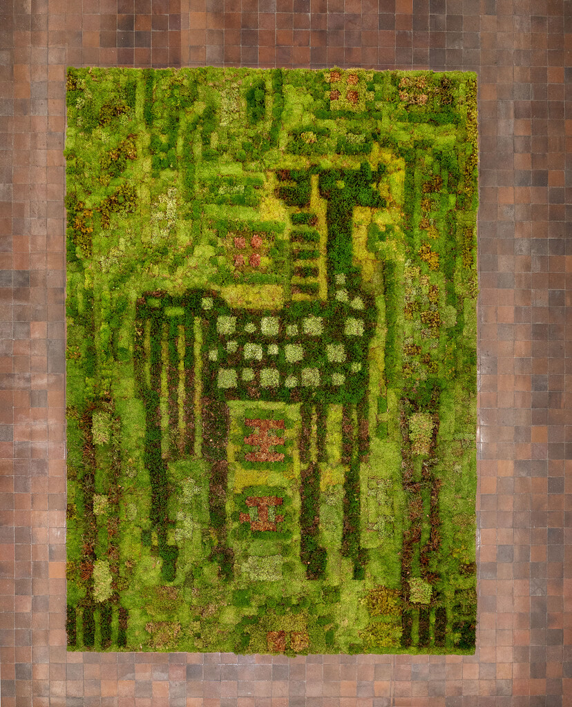 Zheng Bo - Kiang Malingue