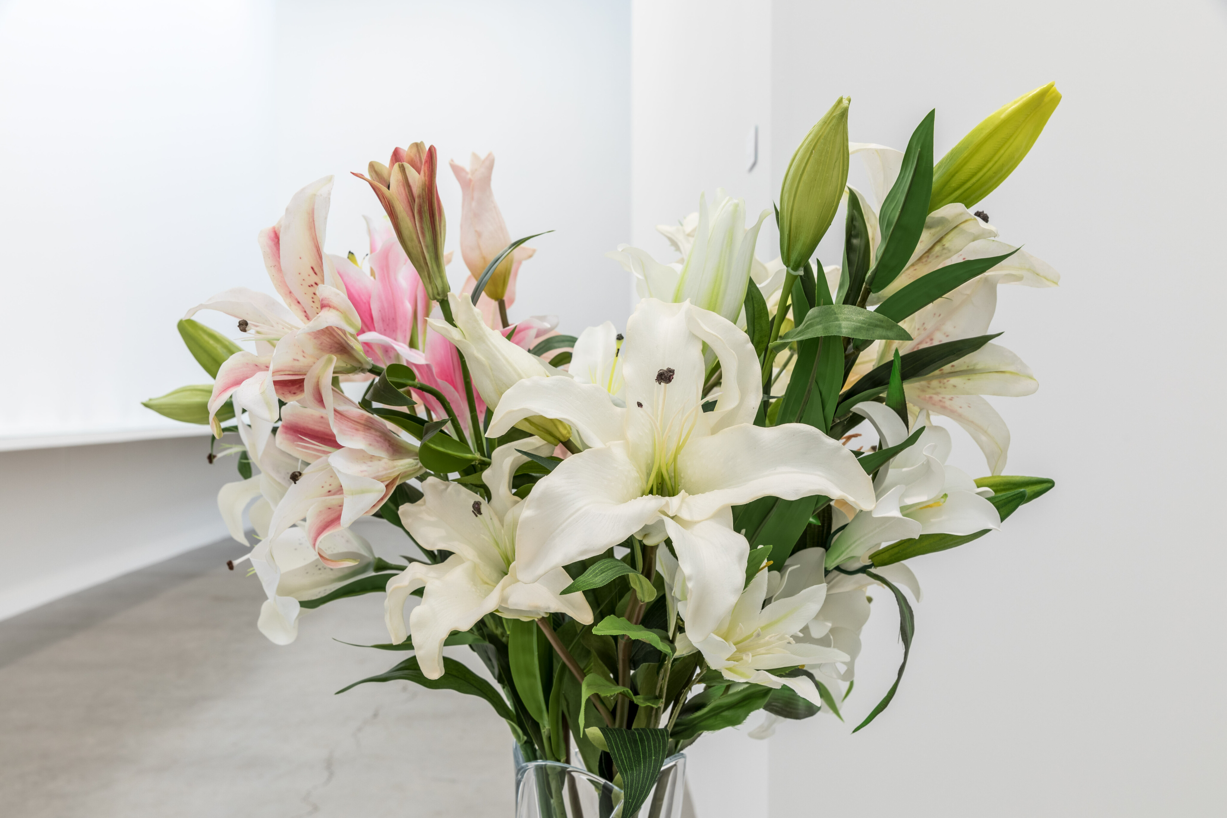 Kwan Sheung Chi | In Younger Days - Kiang Malingue