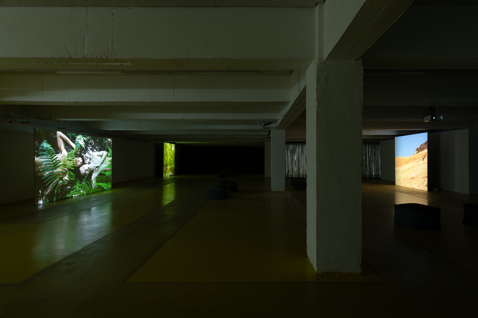 Zheng Bo | Beech, Pine, Fern, Acacia - Kiang Malingue