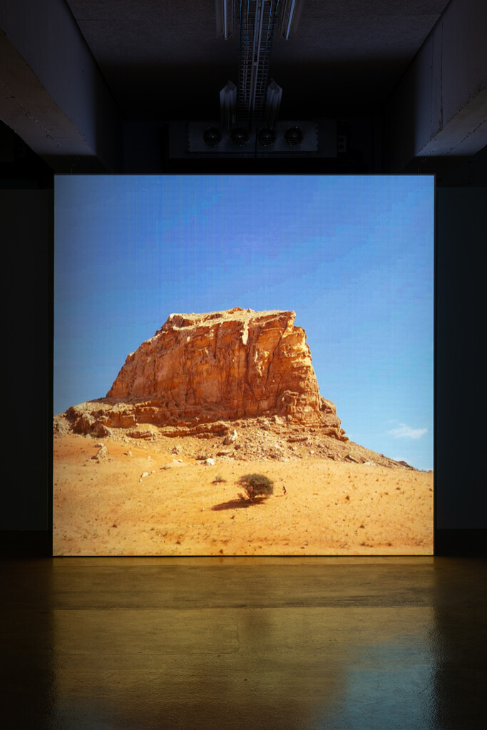 Zheng Bo - Kiang Malingue