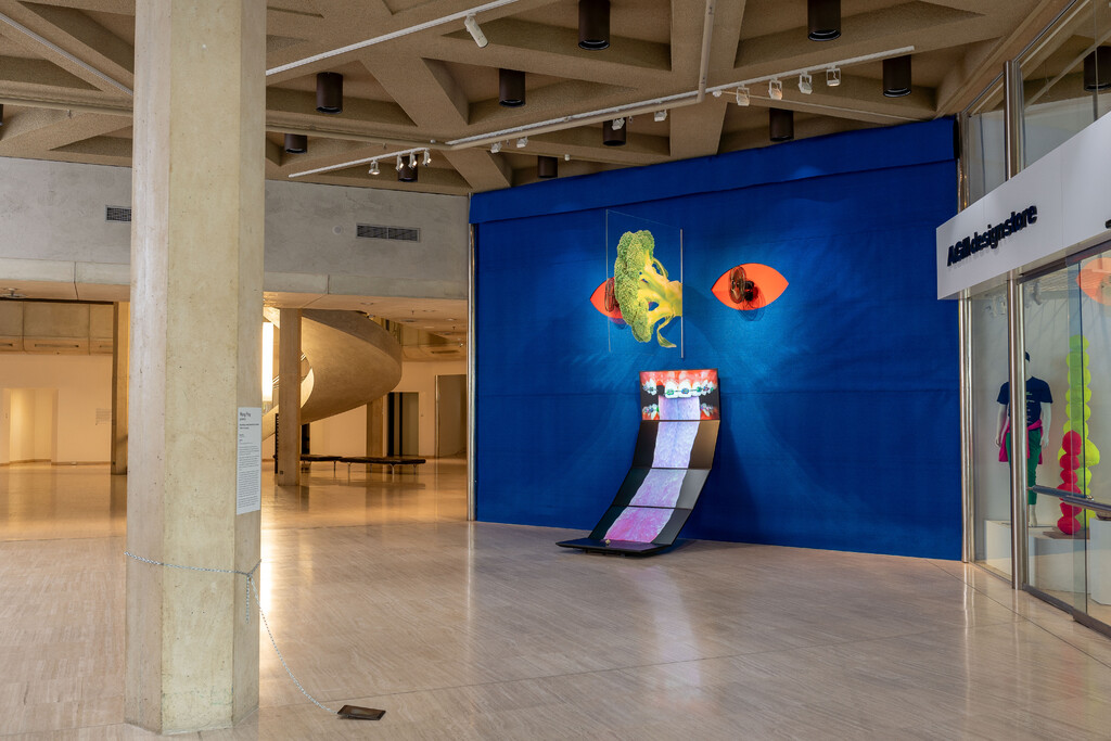 Wong Ping | The Art Gallery of Western Australia - Kiang Malingue