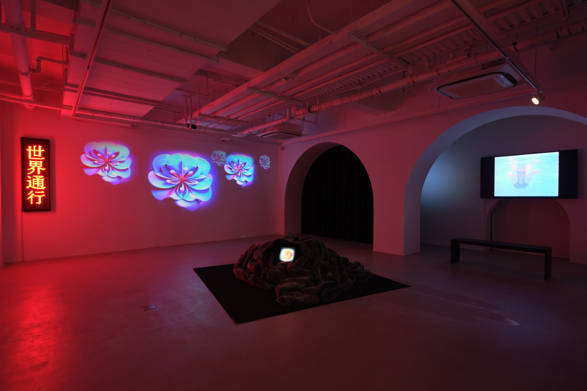 Ellen Pau | 'Inauspicious Symbol' - Kiang Malingue