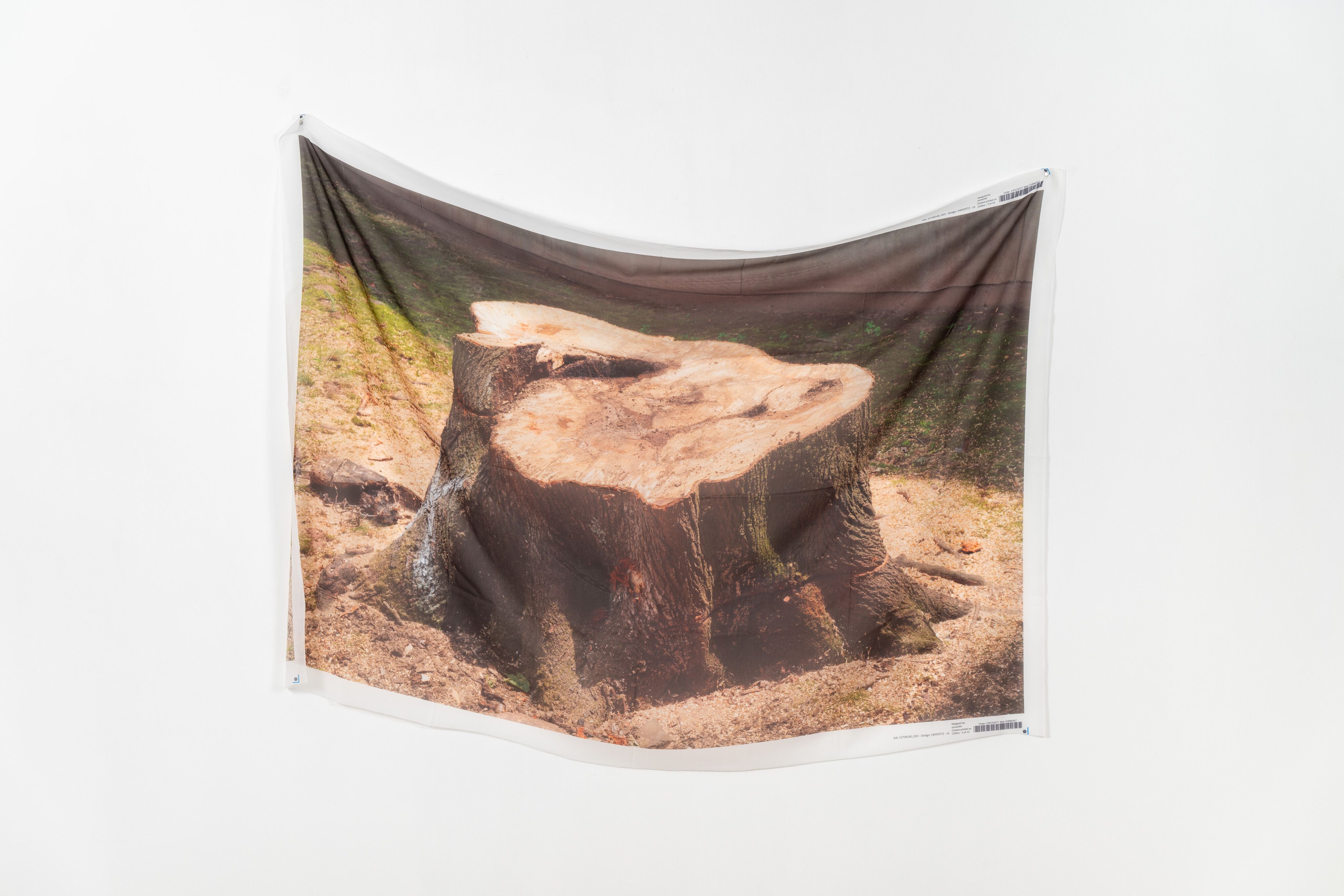 Carrie Yamaoka | 'lucid / liquid / limpid' - Kiang Malingue