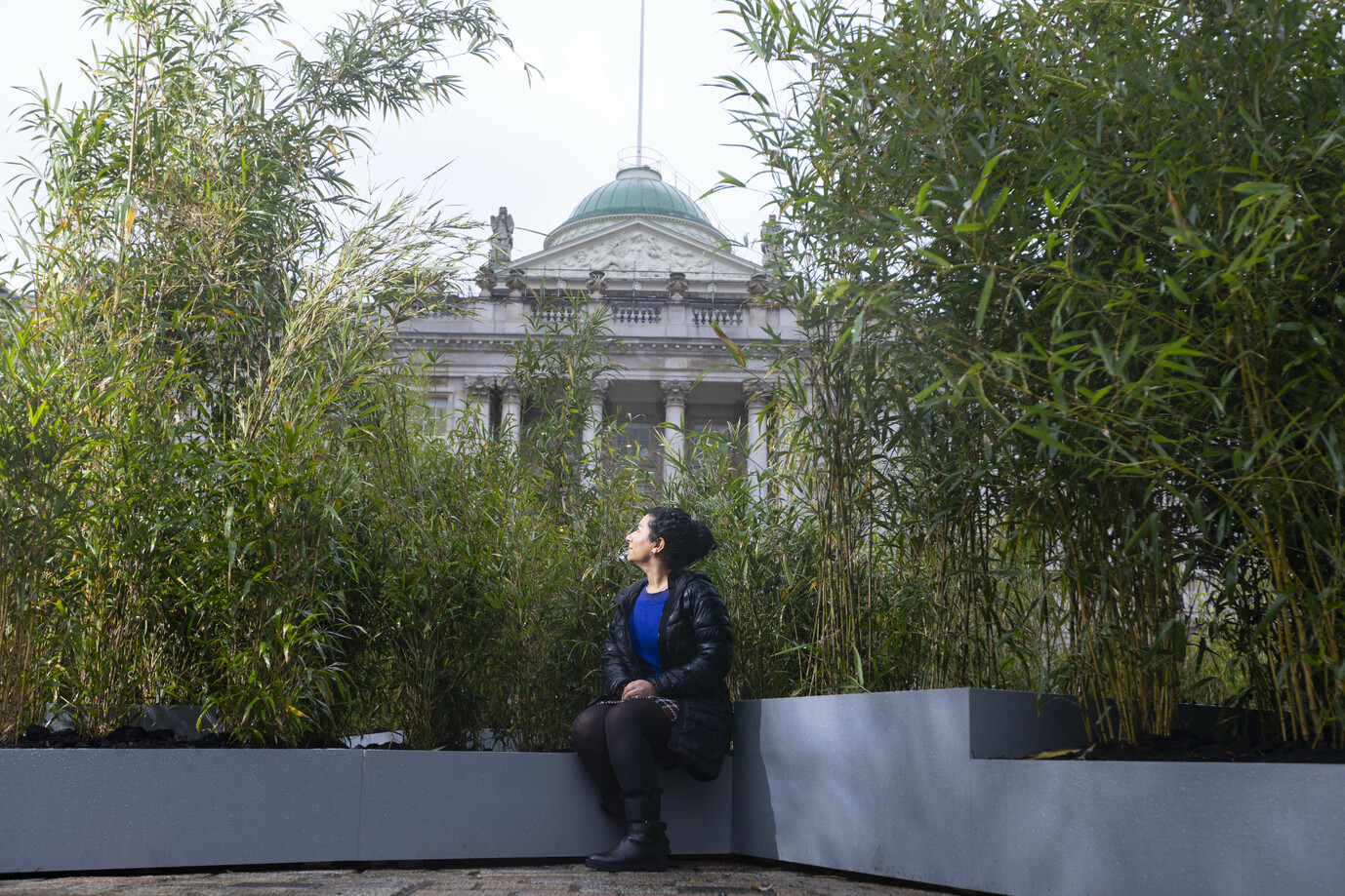 Zheng Bo - Kiang Malingue