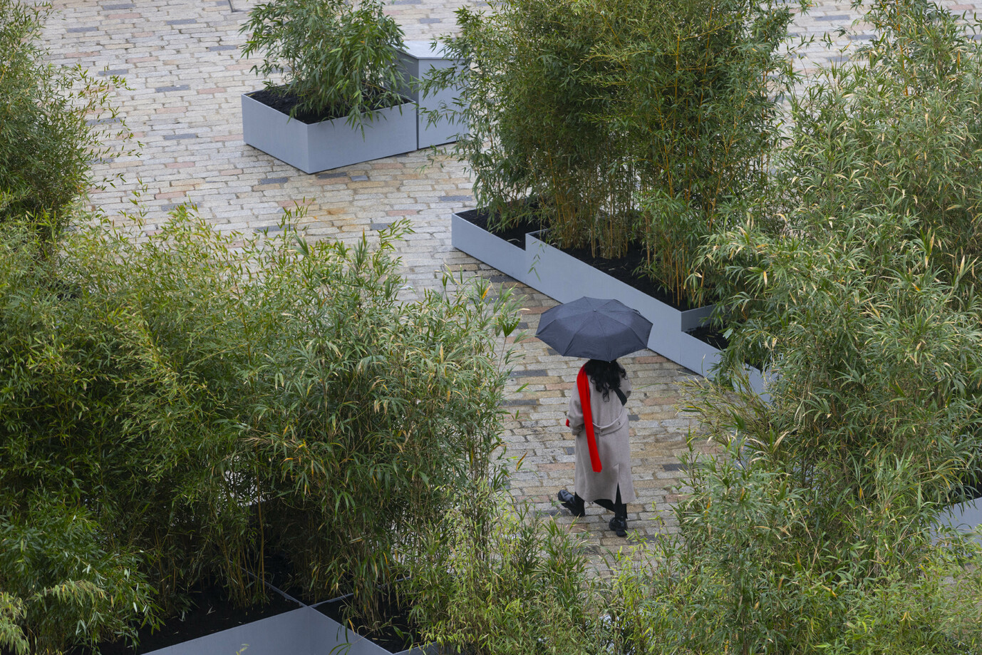 Zheng Bo | Somerset House commission ‘Bamboo as Method’ - Kiang Malingue