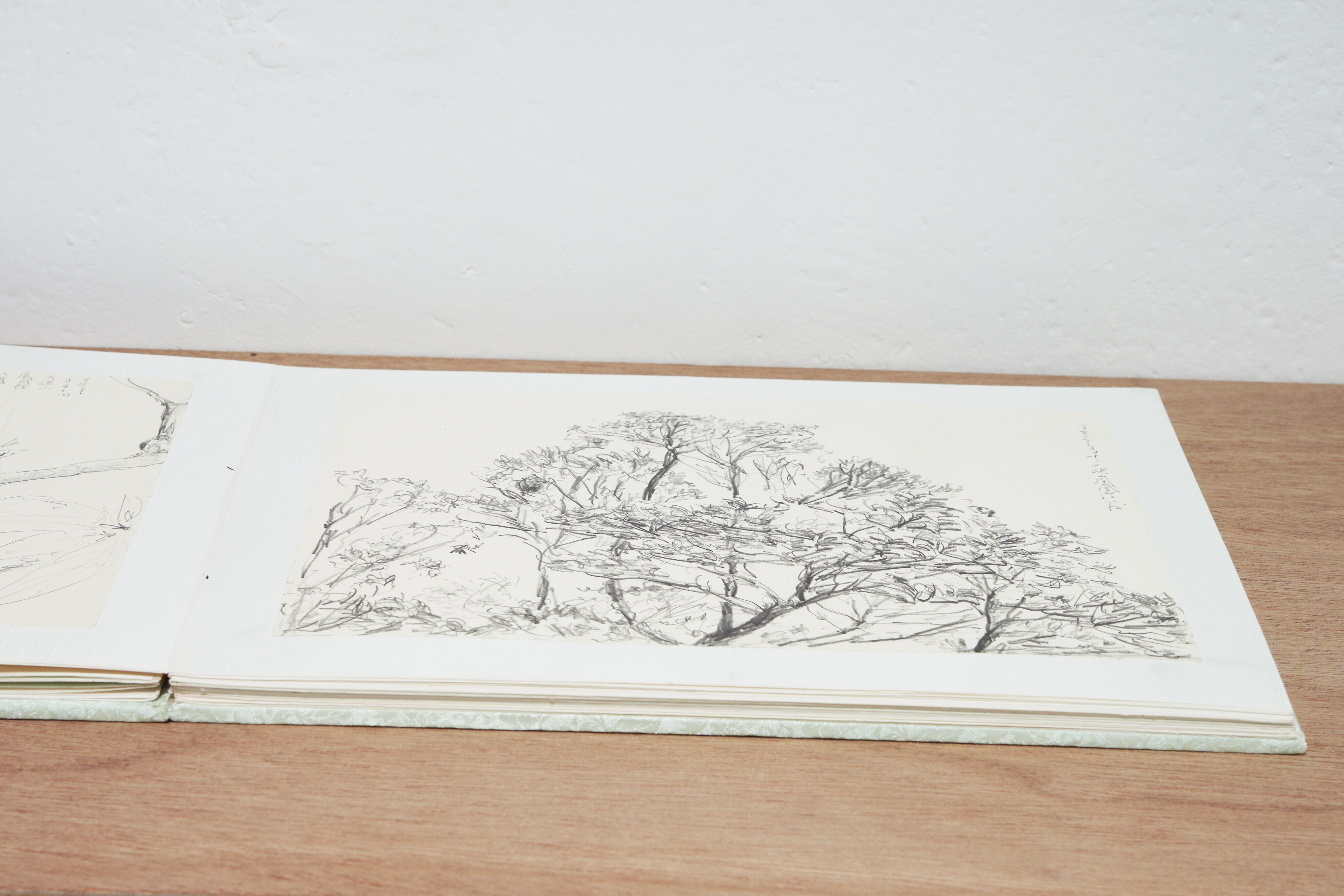 Zheng Bo | Drawing Life - Kiang Malingue
