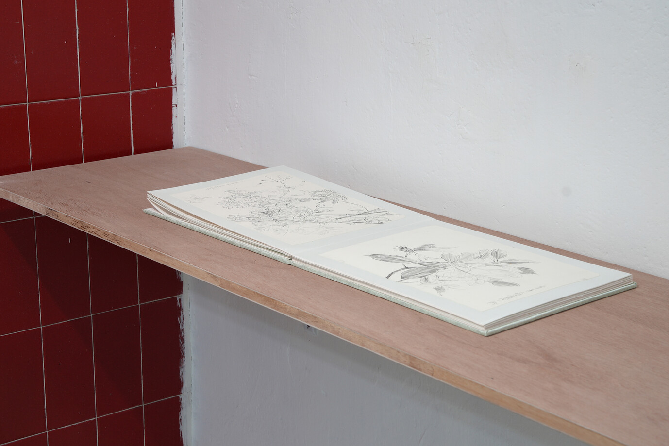 Zheng Bo | Drawing Life - Kiang Malingue