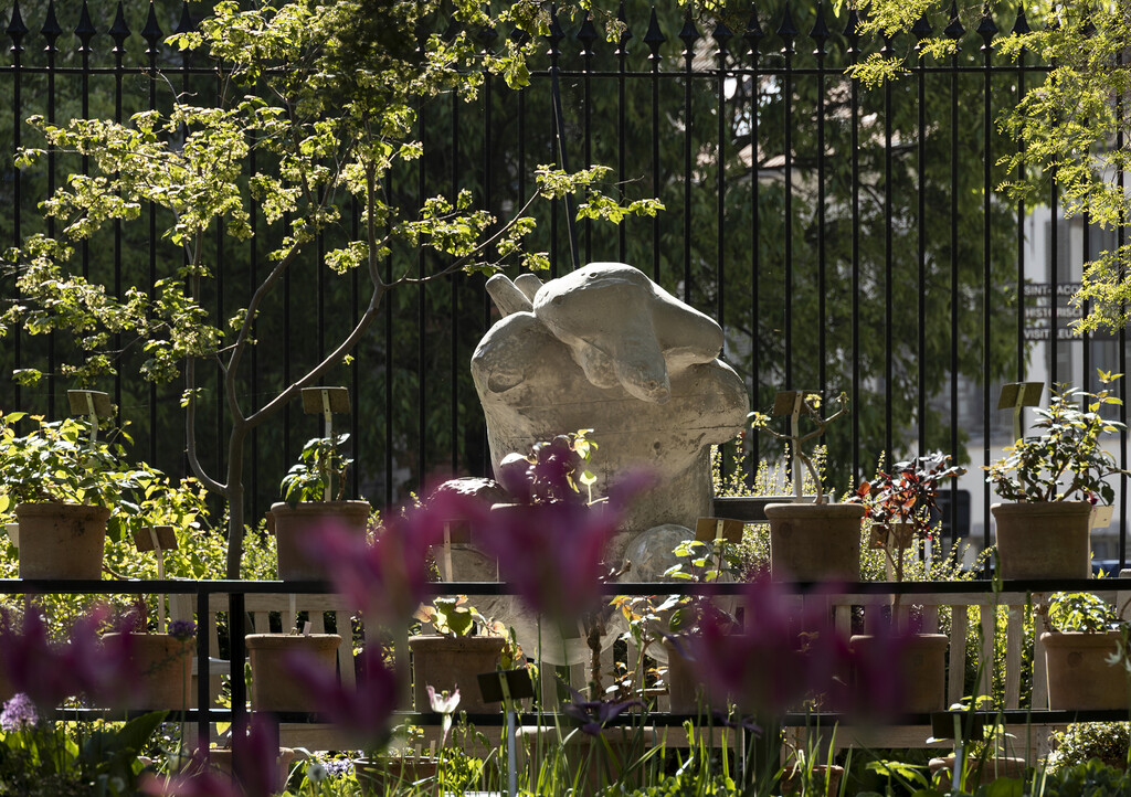 Yu Ji - Kiang Malingue